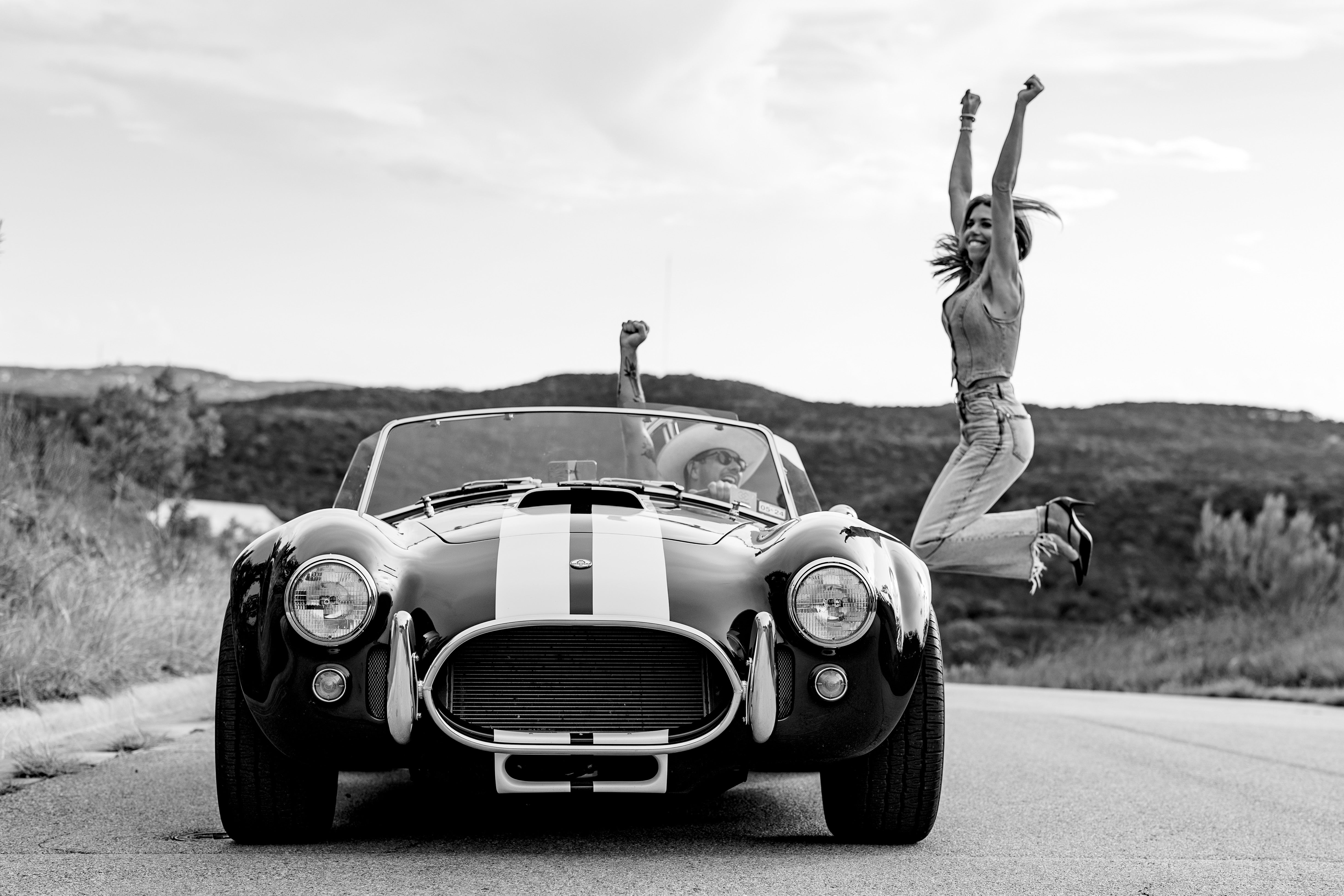 The Cobra Collection – Sinclair Haus